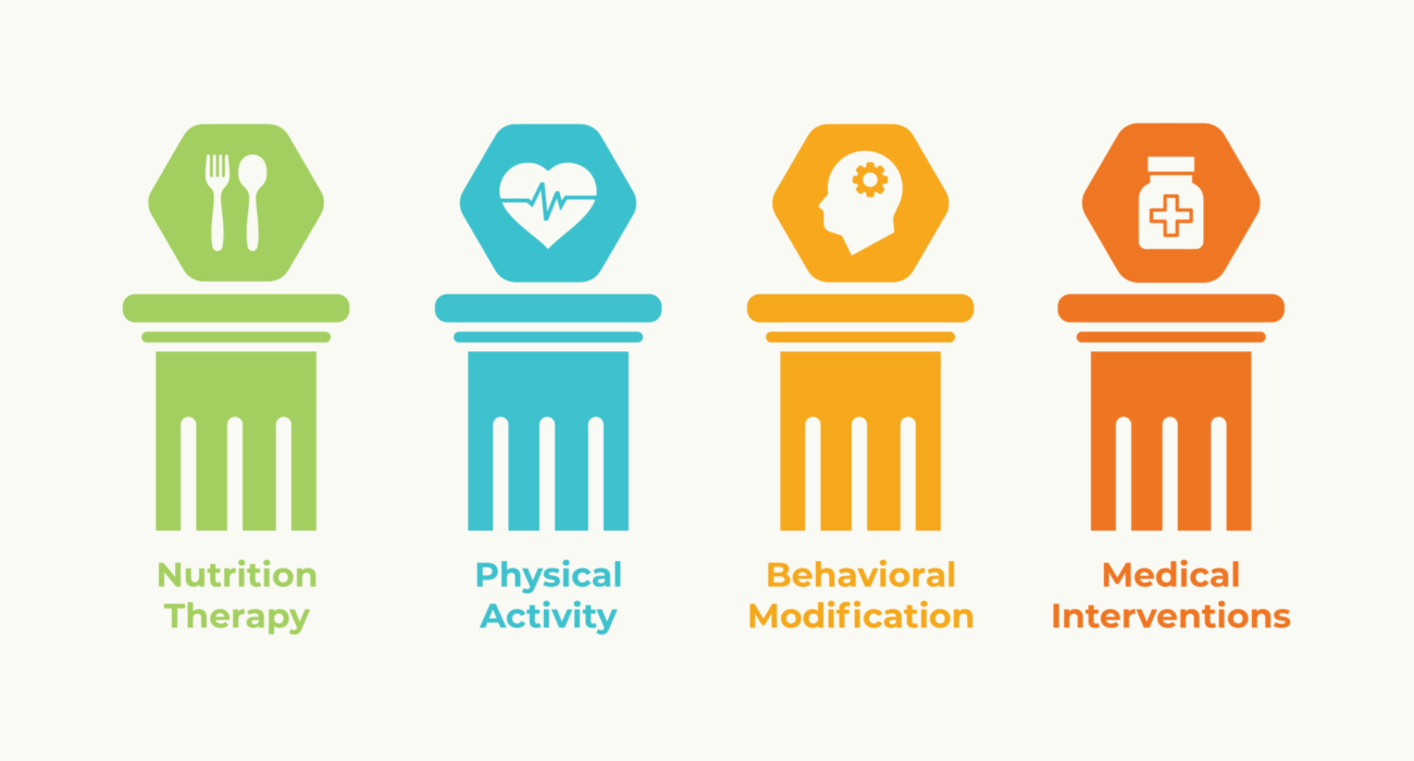 The Four Pillars of Obesity Treatment | Obesity Medicine Association